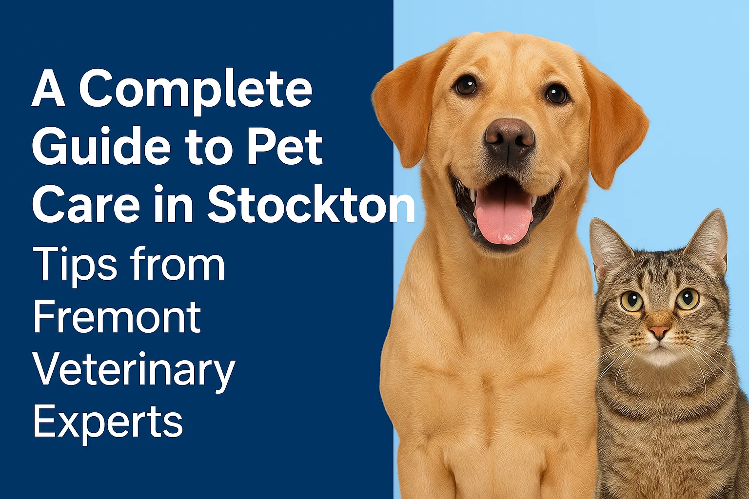 A Complete Guide to Pet Care in Stockton: Tips from Fremont Veterinary ...